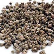 Richard Whelan ~ Medical Herbalist ~ Vitex