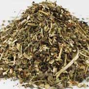 Richard Whelan ~ Medical Herbalist ~ Wood Betony