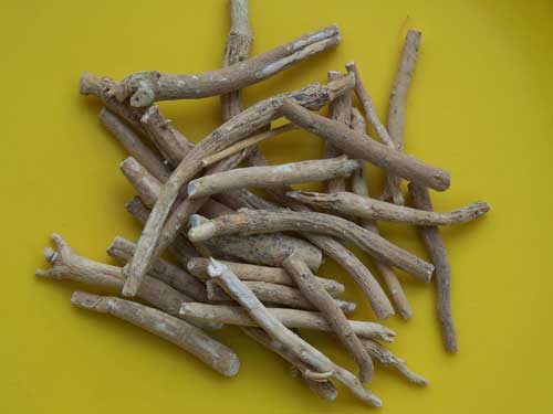 Richard Whelan ~ Medical Herbalist ~ Withania