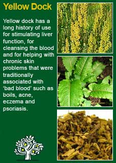 Richard Whelan ~ Medical Herbalist